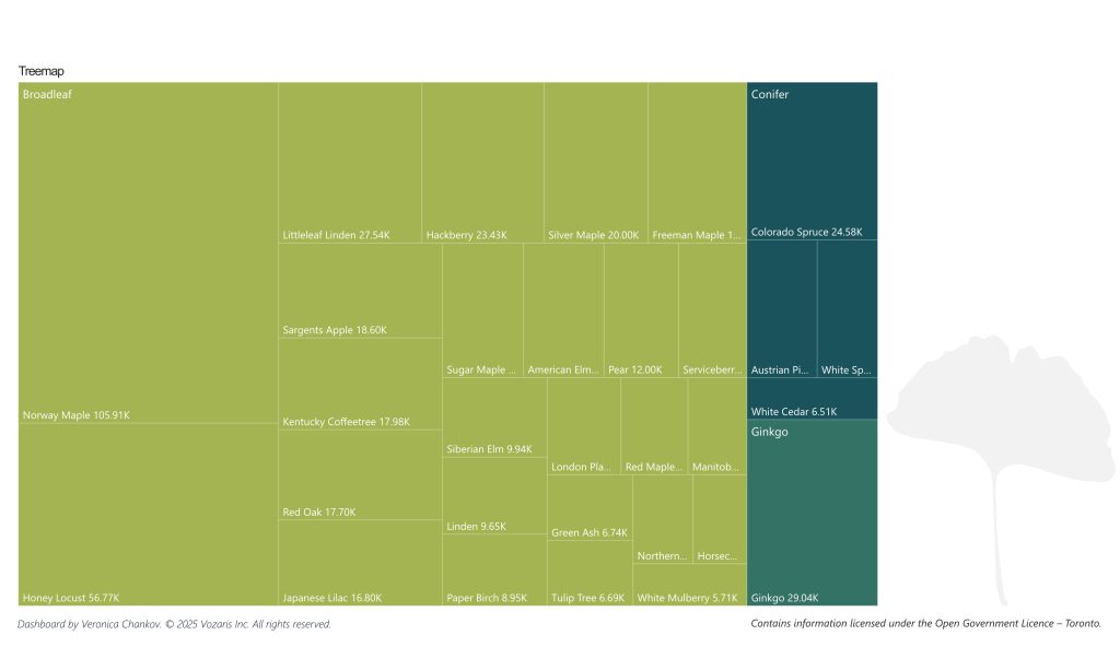 Power BI Dashboards – Vozaris